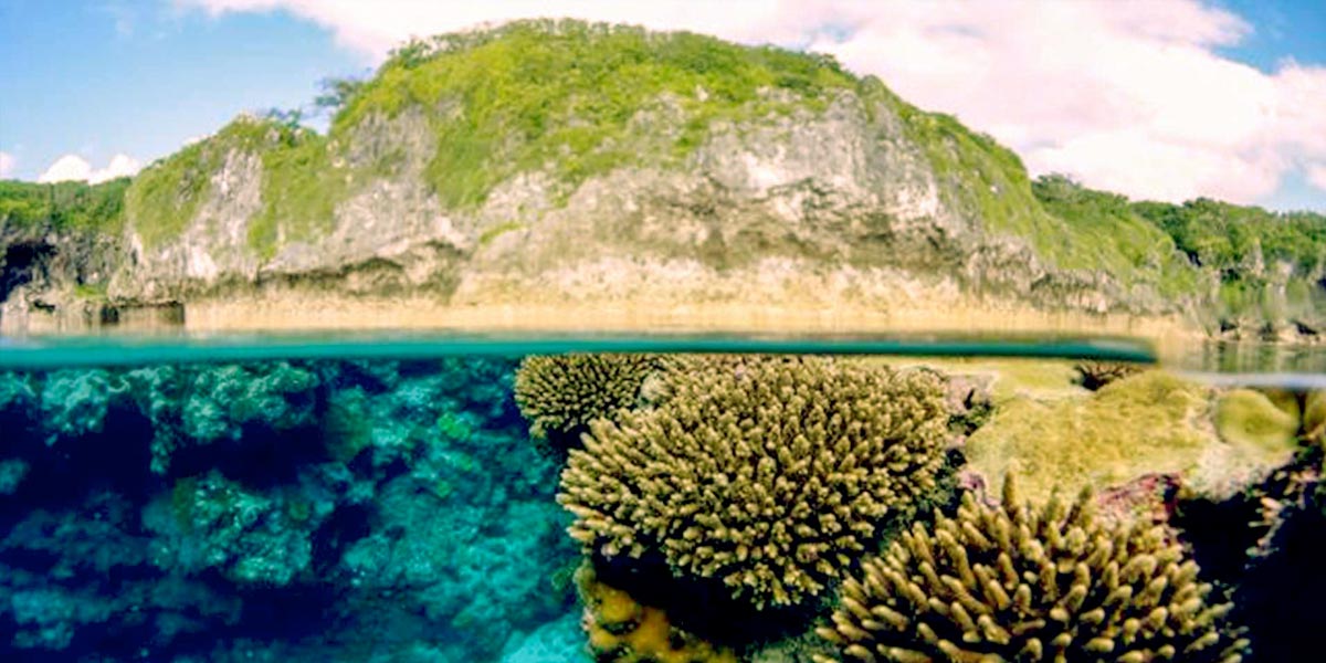 NIUE » Pacific Region UPCI